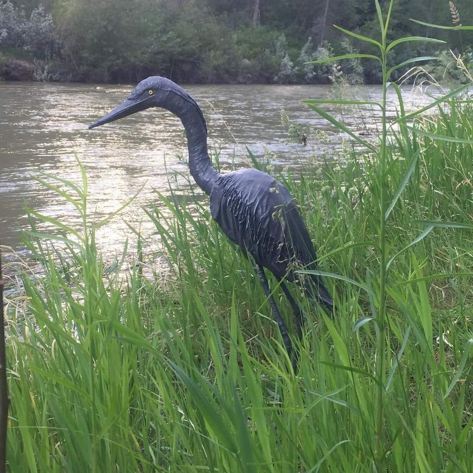 Paverpol Heron Class , Sheep Creek Arts Council, Black Diamond, 24 ...