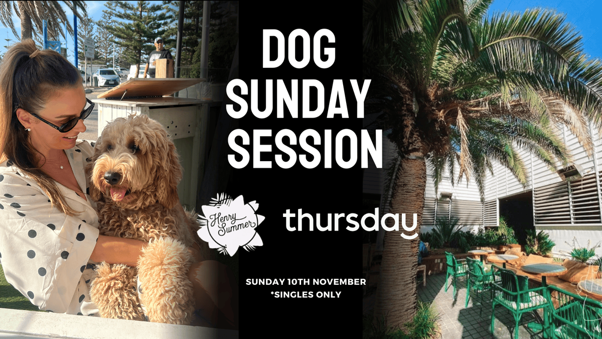 Sunday Session | Single Dog Mixer- Henry Summer | Northbridge, Henry ...