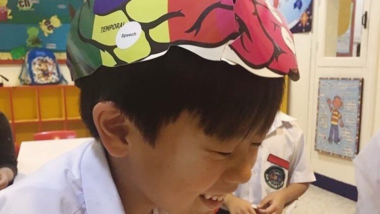 All About the Brain Class, Little Prodigy School of the Arts, Stuart ...
