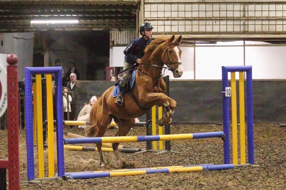 Winter League Showjumping, Penshaw Equestrian Centre, Washington, 26 ...