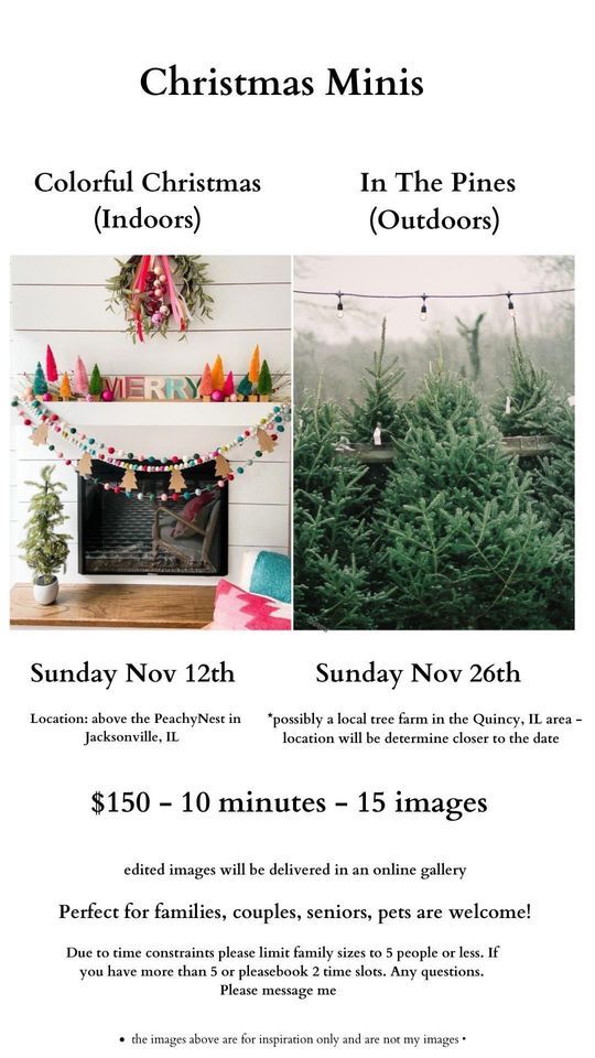 Fun & Colorful Christmas Minis ?, thepeachynest217, Jacksonville, 12 ...