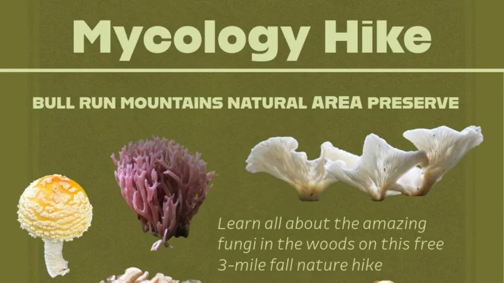 Mushroom and Mycology Hike 2025, Bull Run Mountains Natural Area ...