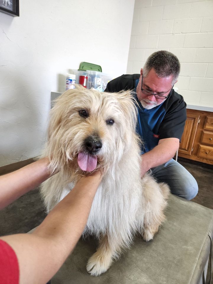 NW A1 Pet-Dr Divis Pet & Human Chiropractor, 2911 W Britton Rd, Oklahoma City, OK 73120-4433 ...