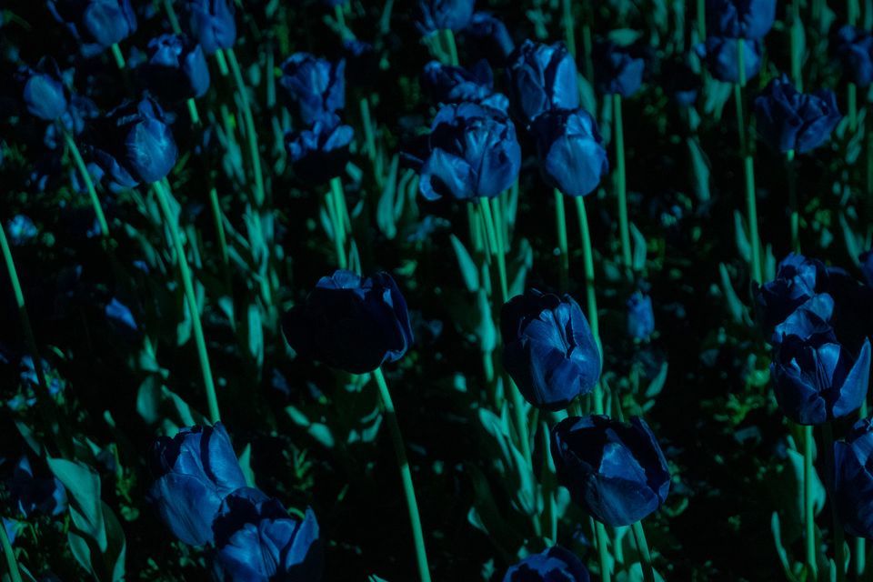 A journey with grief: Exploring loss through photography and poetry ...