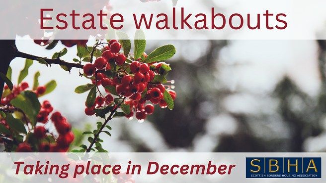 Estate Walkabout - Hawick Lanton Place area, Lanton Place Hawick ...