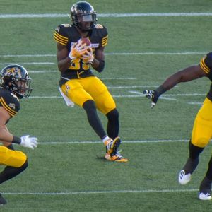 Hamilton Tigercats at Edmonton Elks at Commonwealth Stadium - AB ...