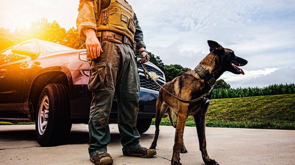 Police K9 Supervisor Course IN PERSON, Stanly Community College ...
