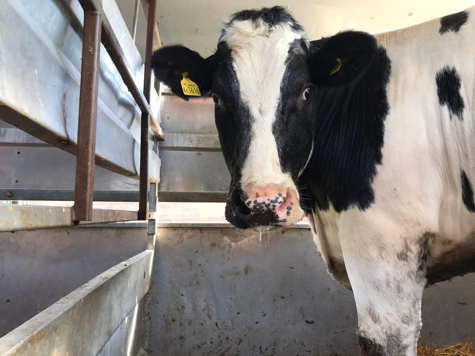 THE UNIVERSAL COORDINATED VIGIL , 15 Eastgate Street, Burntwood, WS7 1JJ, United Kingdom, 20 ...