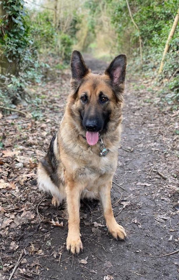 Intensive Recall course - Knockin, Knockin Village Hall, Oswestry, 17 ...