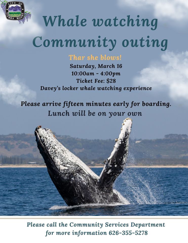 Whale watching community excursion, 232 W. Sierra Madre Blvd., Sierra ...