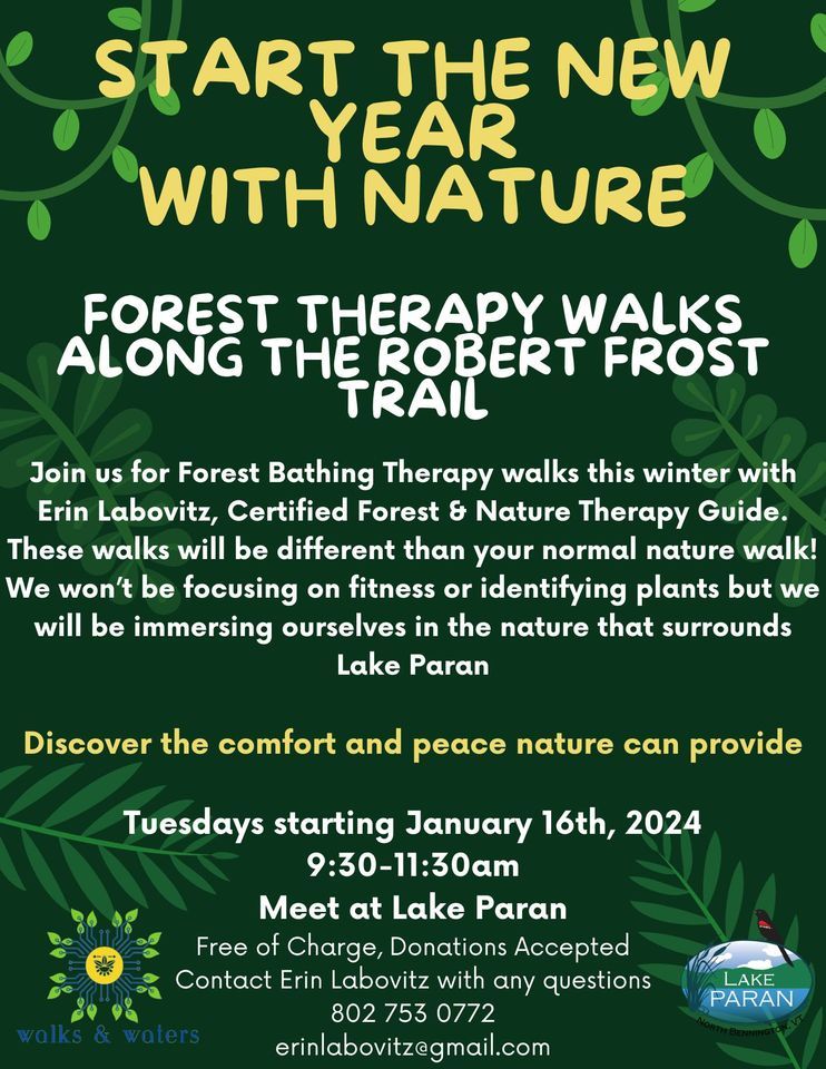 Forest Therapy Walks at Lake Paran, Lake Paran - North Bennington, VT ...
