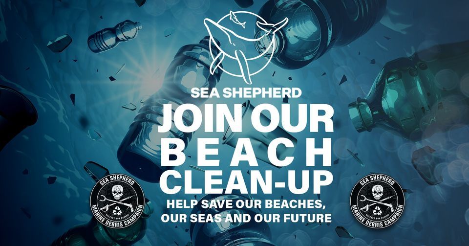SSUK Meon Shore Beach Clean, Meon Beach, Fareham, 25 June