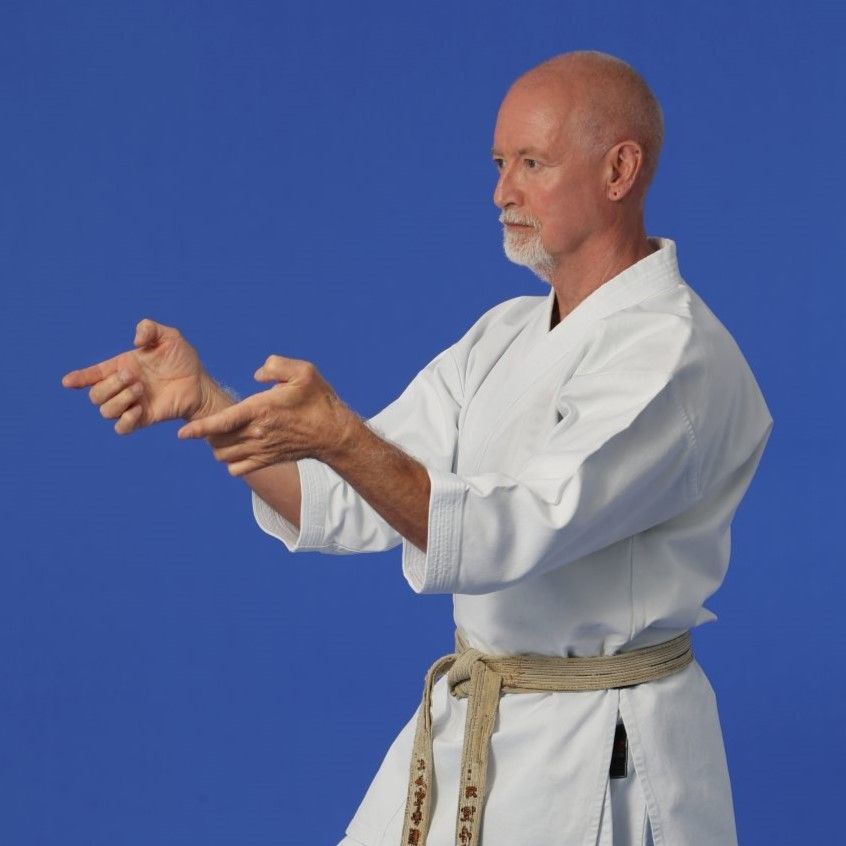 Training & kyu grading with Sensei Ivan Birch, Blackheath High School ...