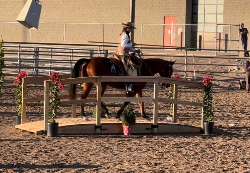 RDVC Obstacle Fun Day, Rancho Descanso - Valley Center, 27 January 2024 | AllEvents.in