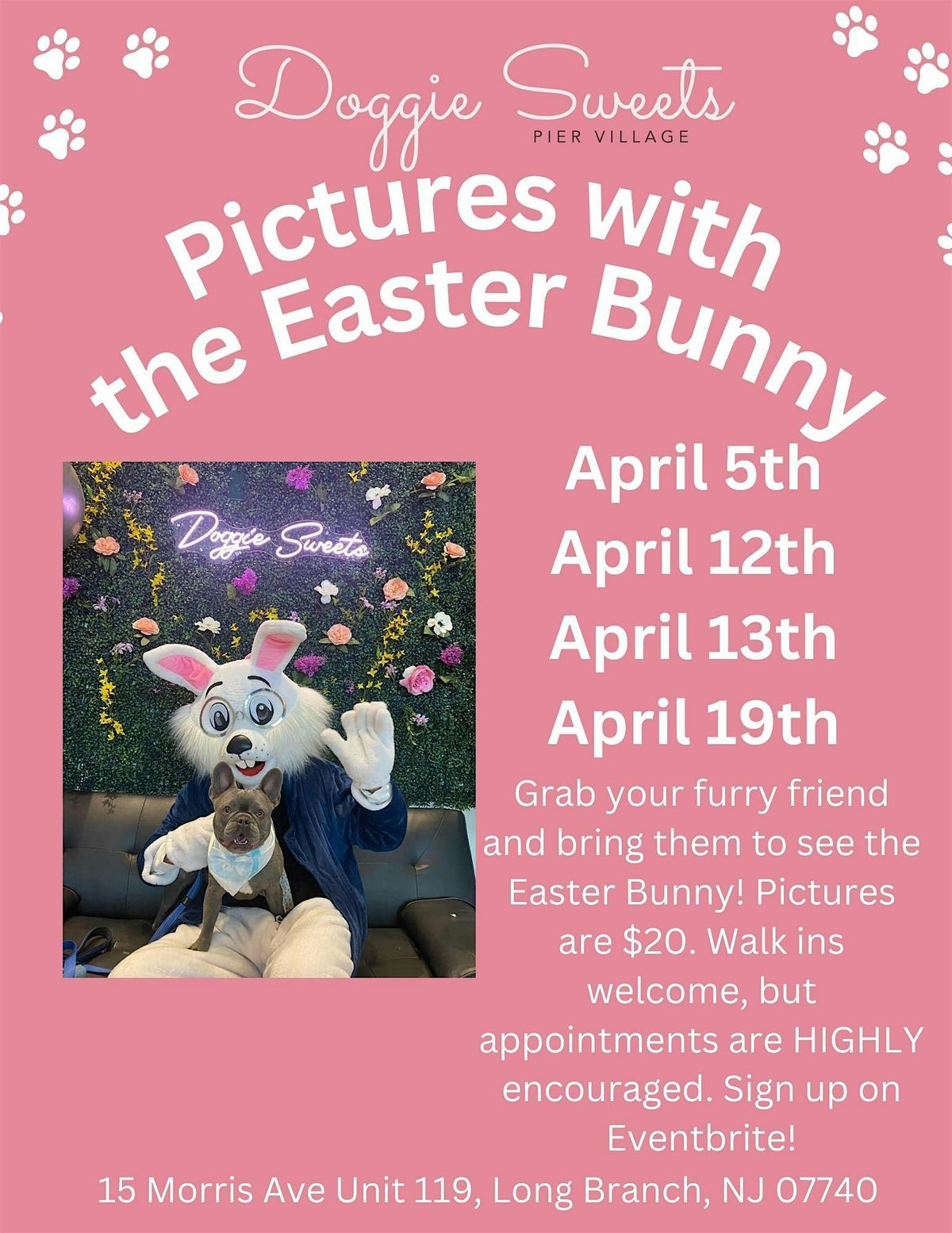 Pictures with the Easter Bunny at Doggie Sweets, Doggie Sweets, Long ...