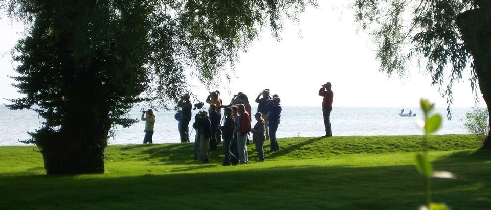 Bird Walk - April 2024, 1100 Lake Shore Rd, Grosse Pointe Shores, MI ...