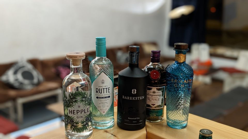 Gin Tasting Paderborn _ Spirituosen Paderborn – SYMO