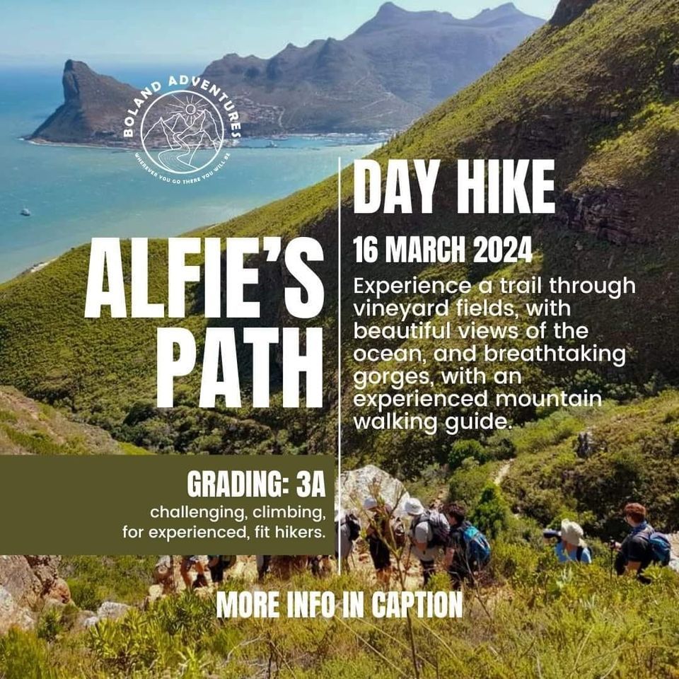 Cape Town Day Hike: Alfies path - Constantia nek to East Ford via ...