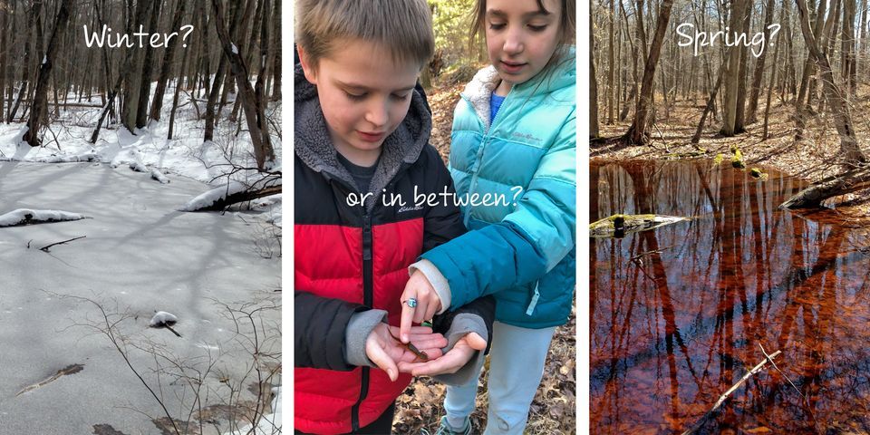 Homeschool Hike: March Madness, High Point State Park Office, Wantage ...