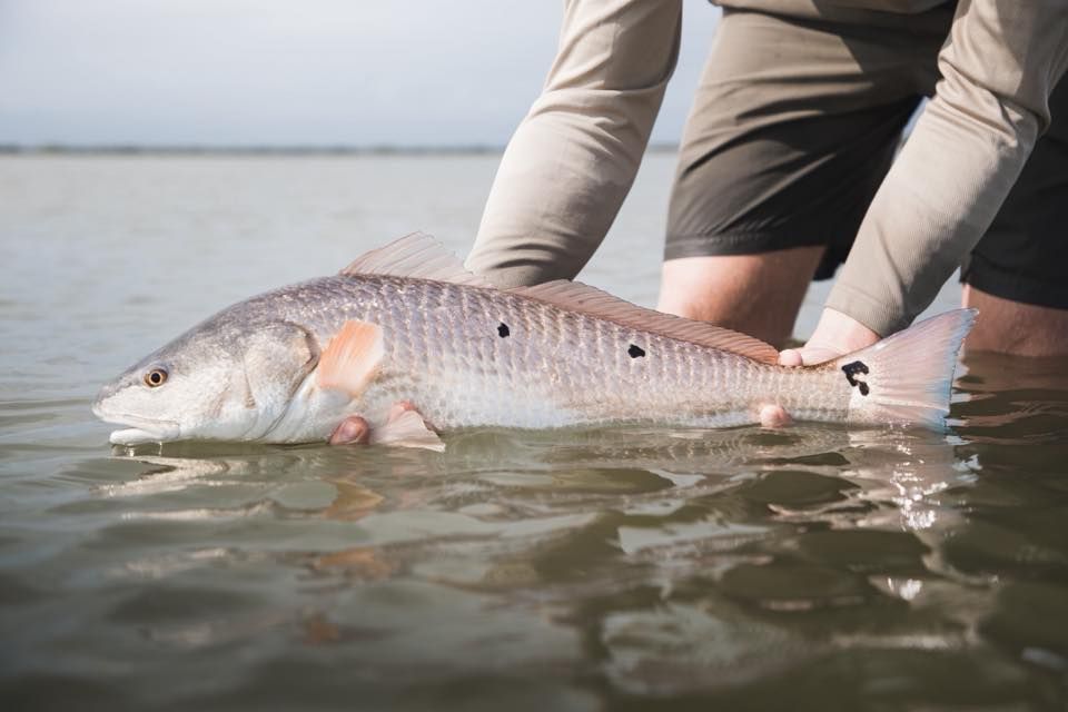 21st Annual Third Coast Fishing Tournament, Bluff's Landing Marina and ...