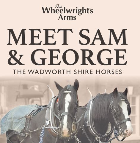 Shire Horses, The Wheelwrights Arms, Reading, 16 September 2023 ...