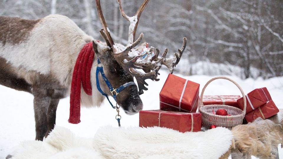 Reindeer and Santa at Town & Country Bank - Salem, 1009 E. Scenic ...