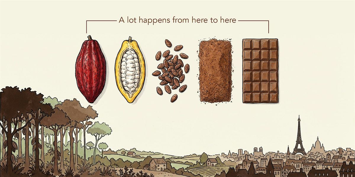 Managing Cocoa Contaminants - Know-how, Monitoring and Mitigation ...