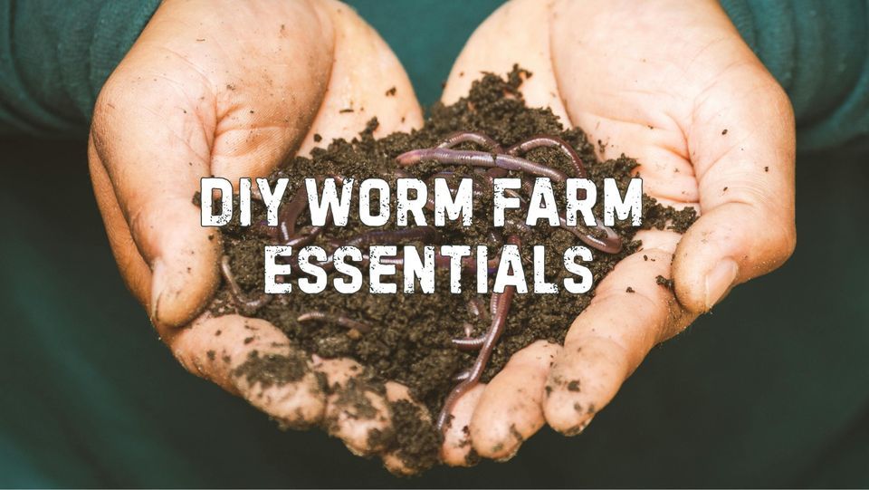 DIY Worm Farm Essentials with Planet Project Co, Enviro House, 125 King ...