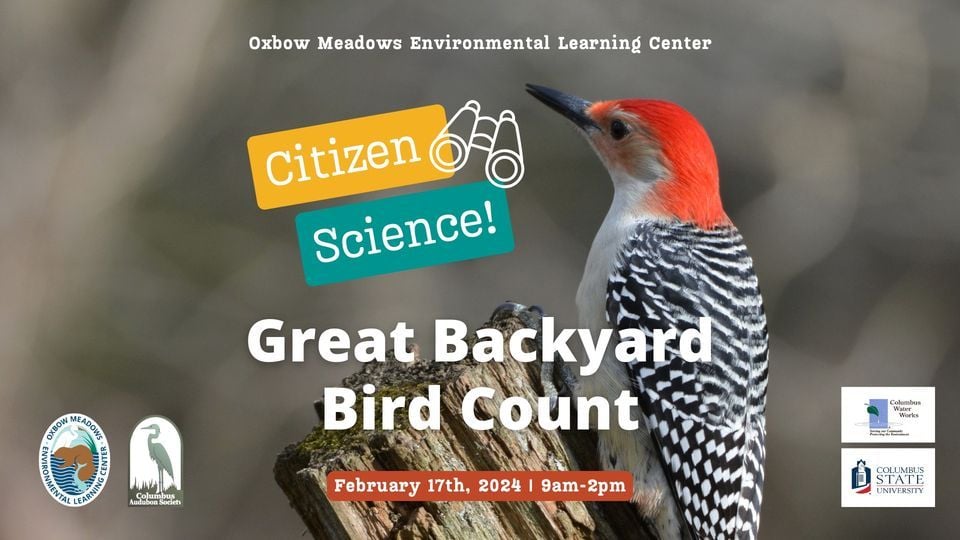 Citizen Science: Great Backyard Bird Count, Oxbow Meadows Environmental ...