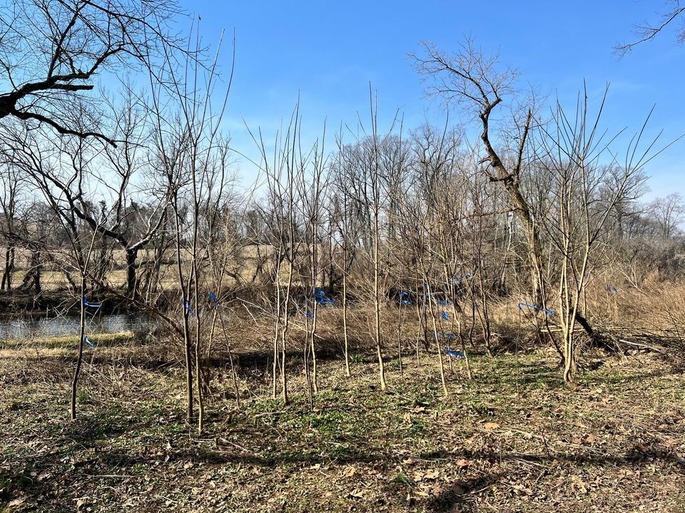 Smith Bridge Picnic Area Volunteer Event, Smith Bridge Picnic Area ...