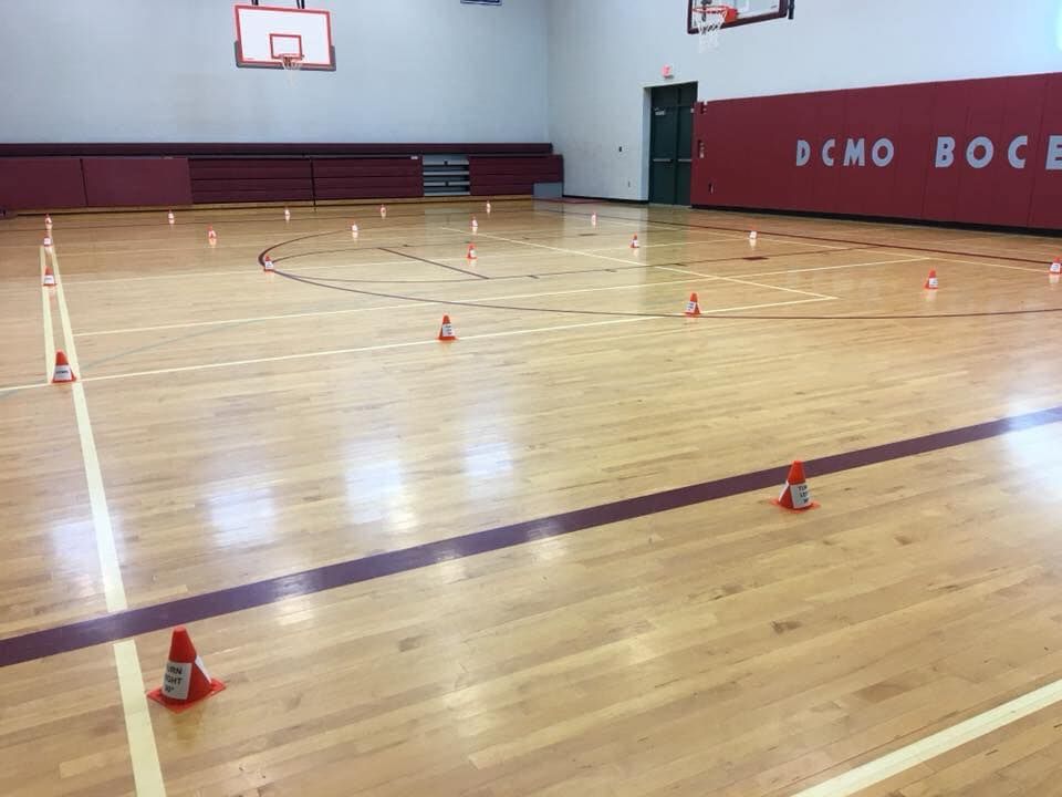 Basic Puppy Obedience - Orientation, DCMO BOCES Adult & Continuing ...