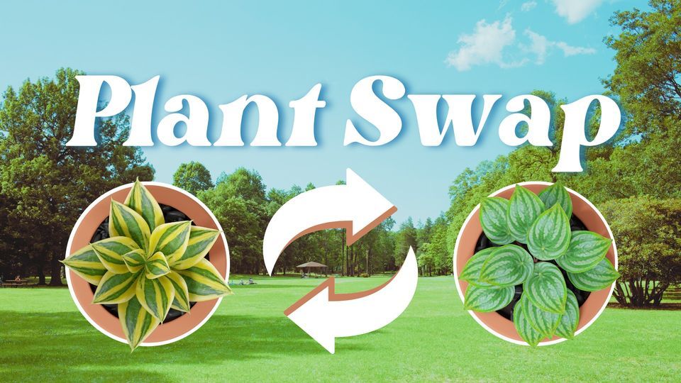 plant-swap-2424-forest-ridge-dr-bedford-tx-united-states-texas