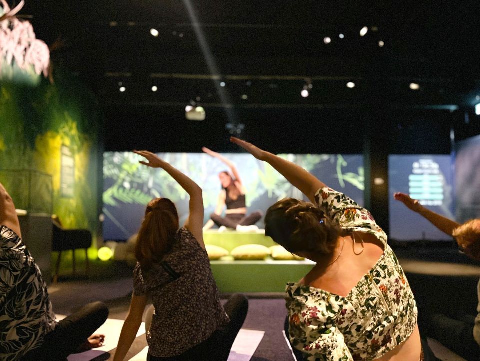 SOLD OUT - Yoga in the Rainforest | 48 Hours of GONDWANA VR: The ...