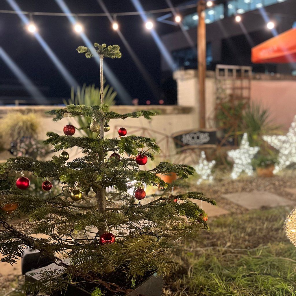 Rooftop coffee shop!, Jacobs Roof Garden, Cardiff, 29 November 2025 ...