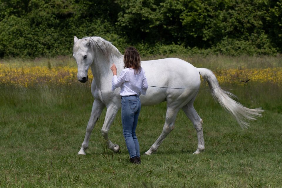 Collection And Balance Clinic , Oakridge, Gloucestershire, Stroud ...