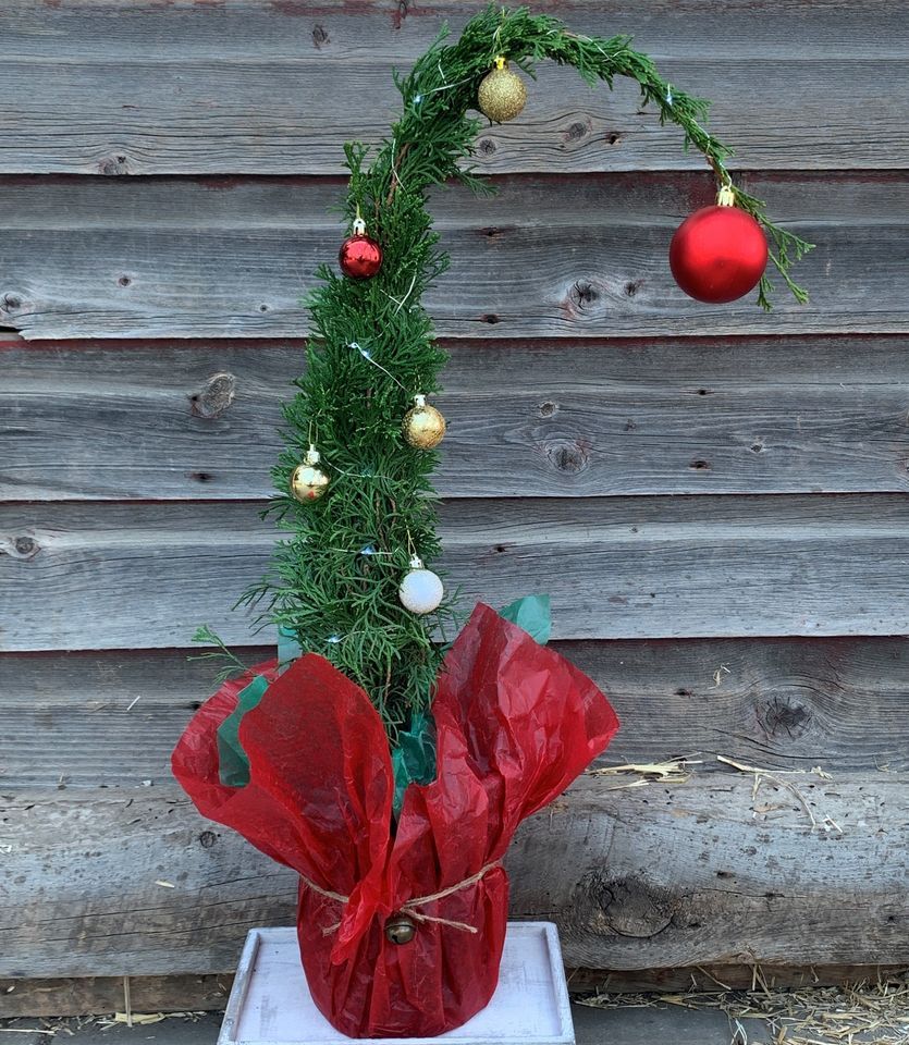 DIY Grinch Tree Class, Bing's Restaurant - Spruce Grove, 8 December ...