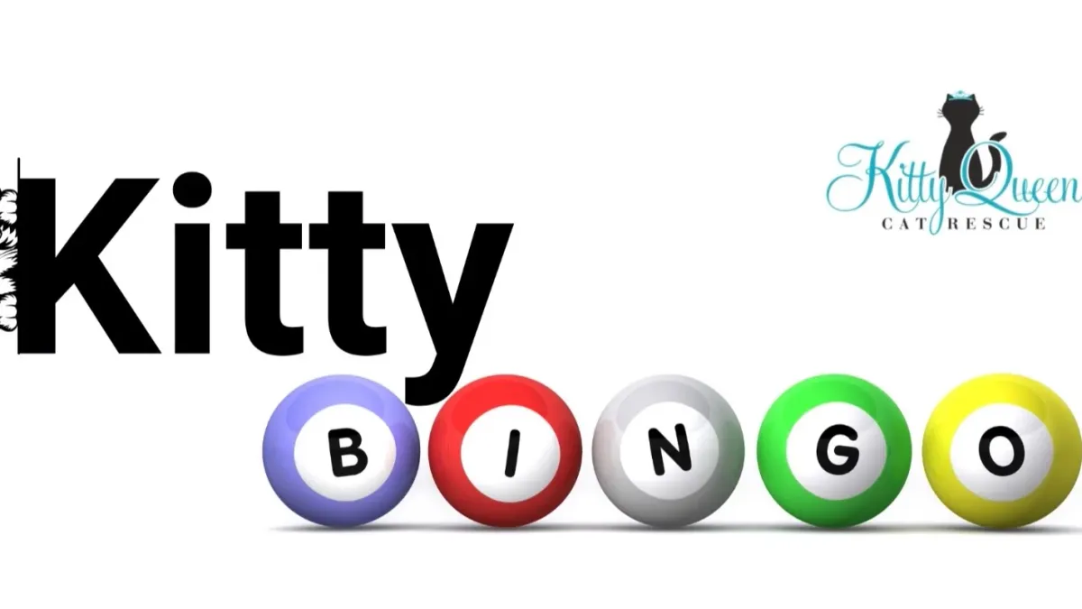 Kitty Bingo - Sign up at KittyQueenCatRescue.com!, Kitty Queen Cat ...