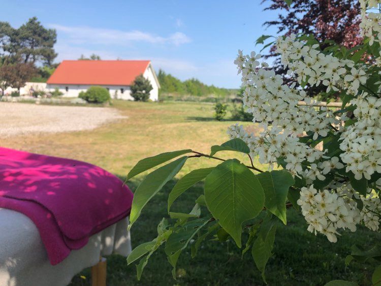 Fredelige dage - Fordybelse, stilhed, egentid, AwareHeart v/Stine Rose, Ringsted, 3 August 2023 ...