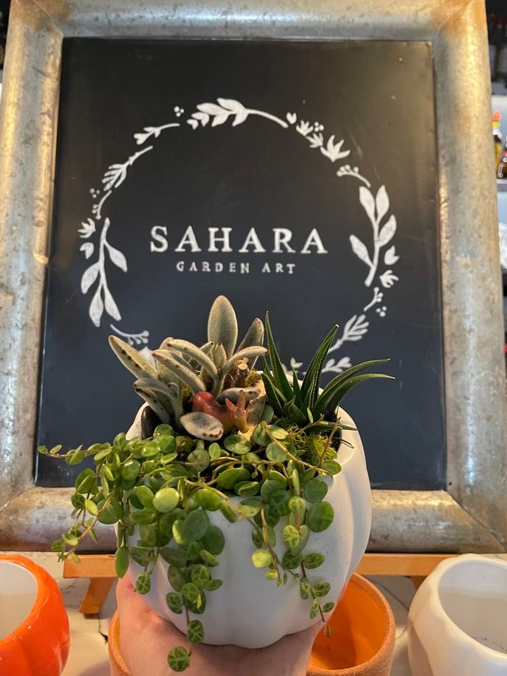 Intro Planting Workshop, 407 Martin St, Penticton, BC V2A 5L1, Canada, February 1 2024 ...