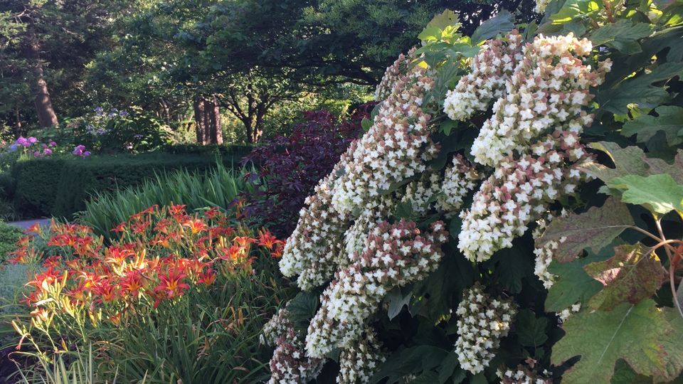 Wanderlust Chronicles: Exploring Americas Best Gardens in 2024, Online ...
