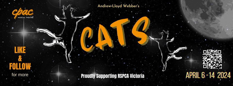 CATS - The Musical. An exciting New Re-imagined Production, Beaconhills ...