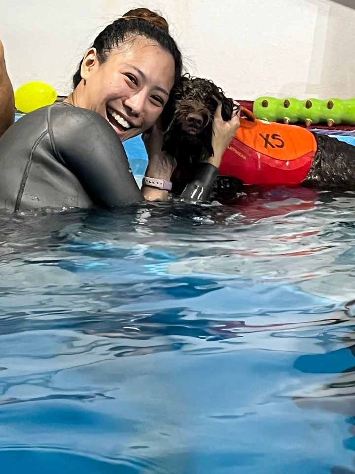 SINGAPORE PRACTICAL DAYS Level 3 Certificate in Canine Hydrotherapy ...