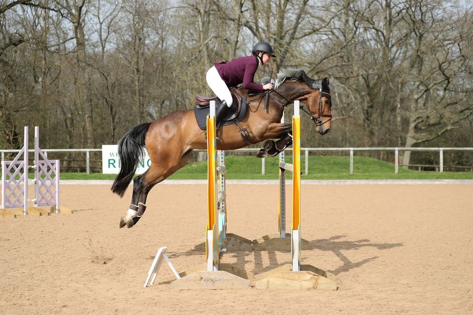 Show Jump Schooling, Wellington Riding School, Wokingham, February 6 2024 | AllEvents.in