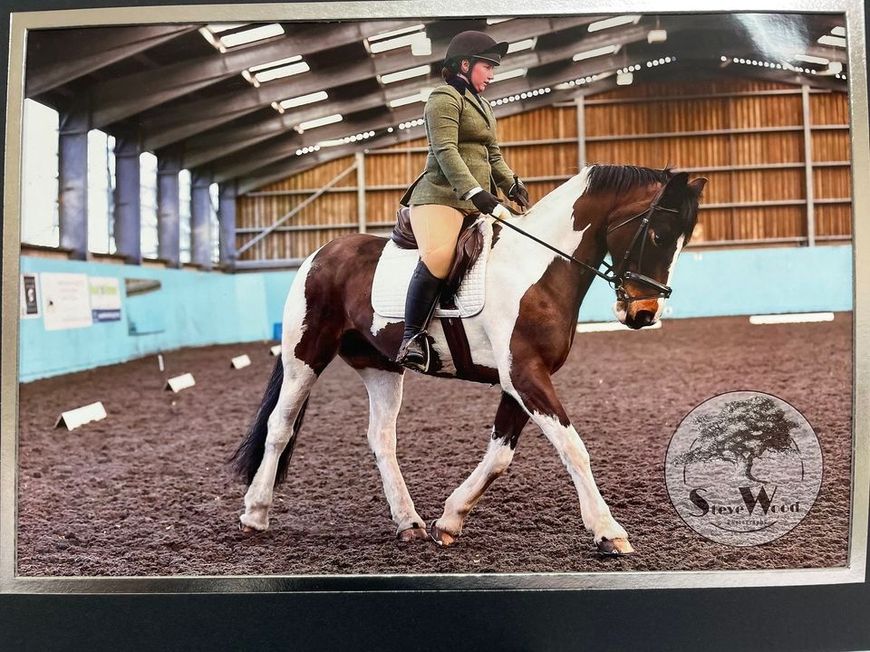 Unaffiliated Dressage, World Horse Welfare Hall Farm, Banham, April 6 ... Unaffiliated Dressage, World Horse Welfare Hall Farm, Banham, April 6 ...