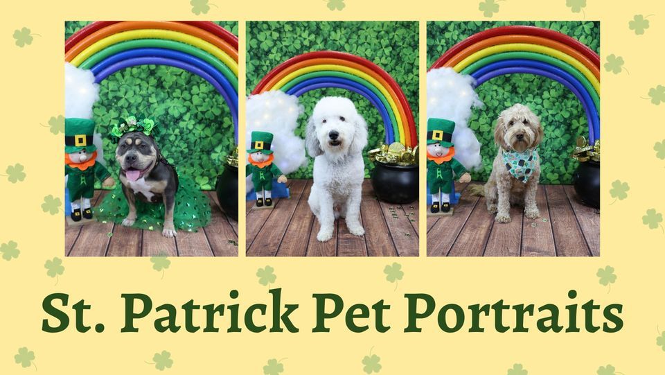 St Patrick’s Themed Pet Portraits, Premier Pet Supply Troy (Troy, MI ...
