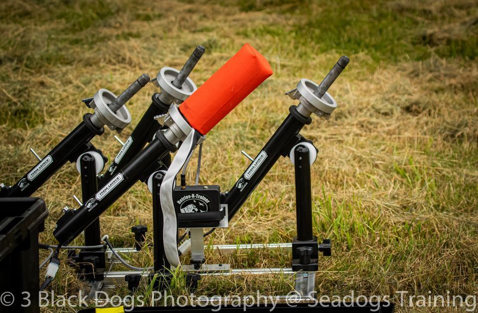 Dummy Launcher Workshop, Seadogs Training, Sudbury, April 20 2024 ...