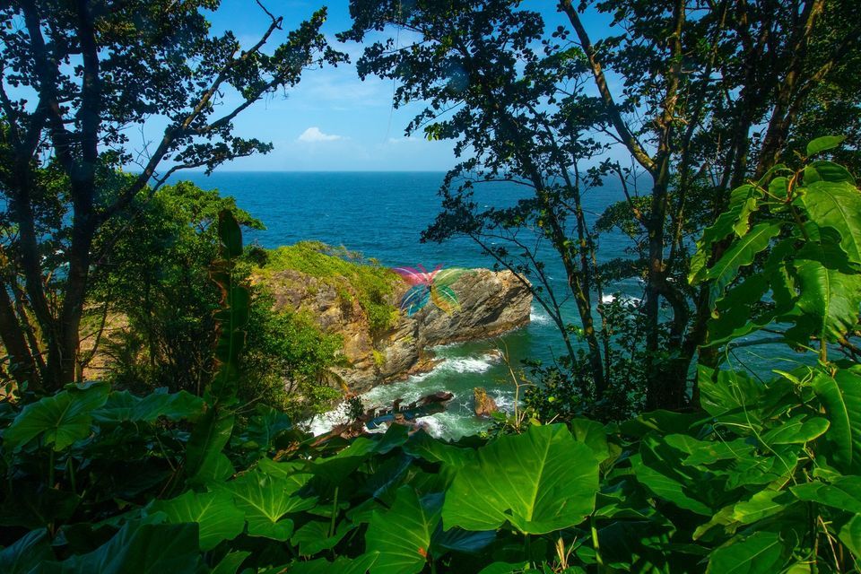 Paria Bay(by Land Trail or Boat ), Online event, Port of Spain ...