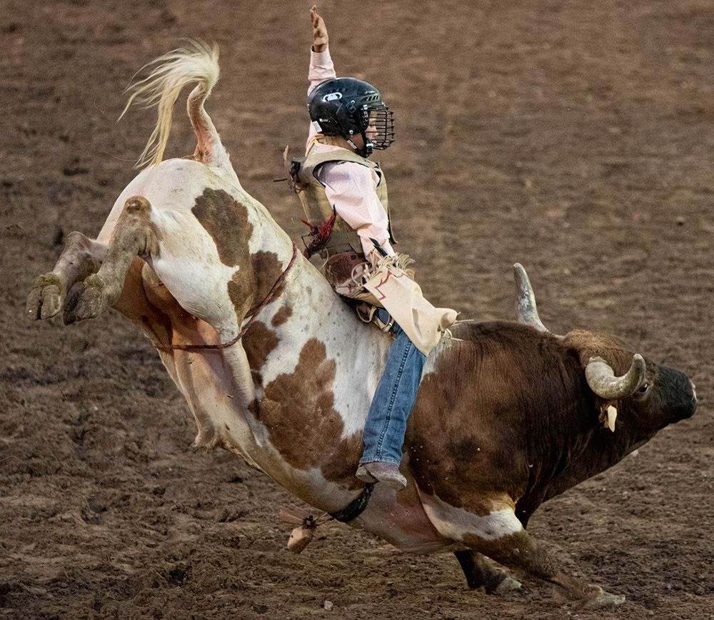 UTE Stampede Rodeo, Juab County Fairgrounds, Nephi | AllEvents.in
