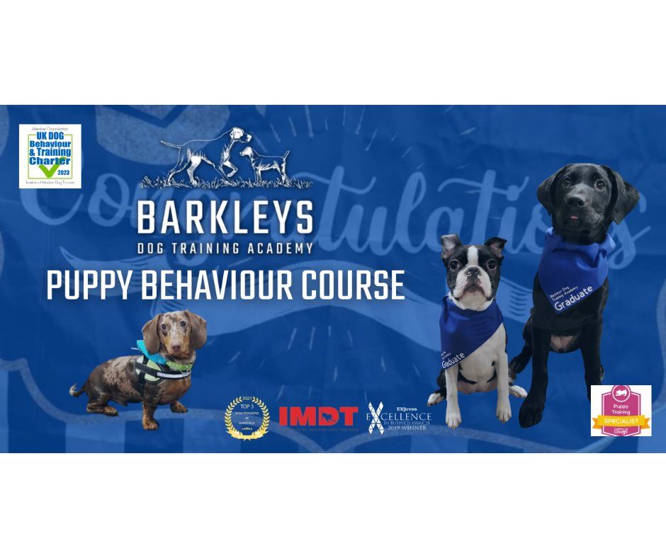 Barkleys Puppy Behaviour Course, Barkleys Dog Training Academy, Wakefield, 4 September 2023 ...