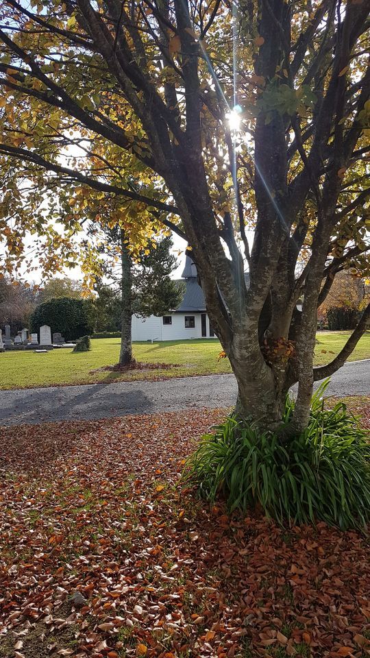 Tamahere Country Market , St Stephen's Tamahere, Hamilton, 16 September ...